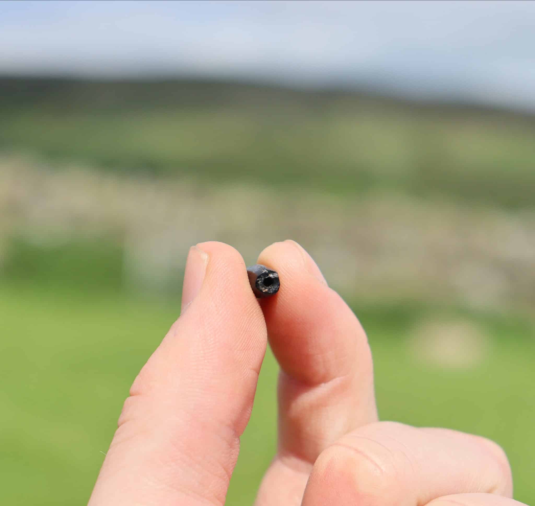 Summary of finds from the Molehill Survey 2023 - Epiacum Heritage